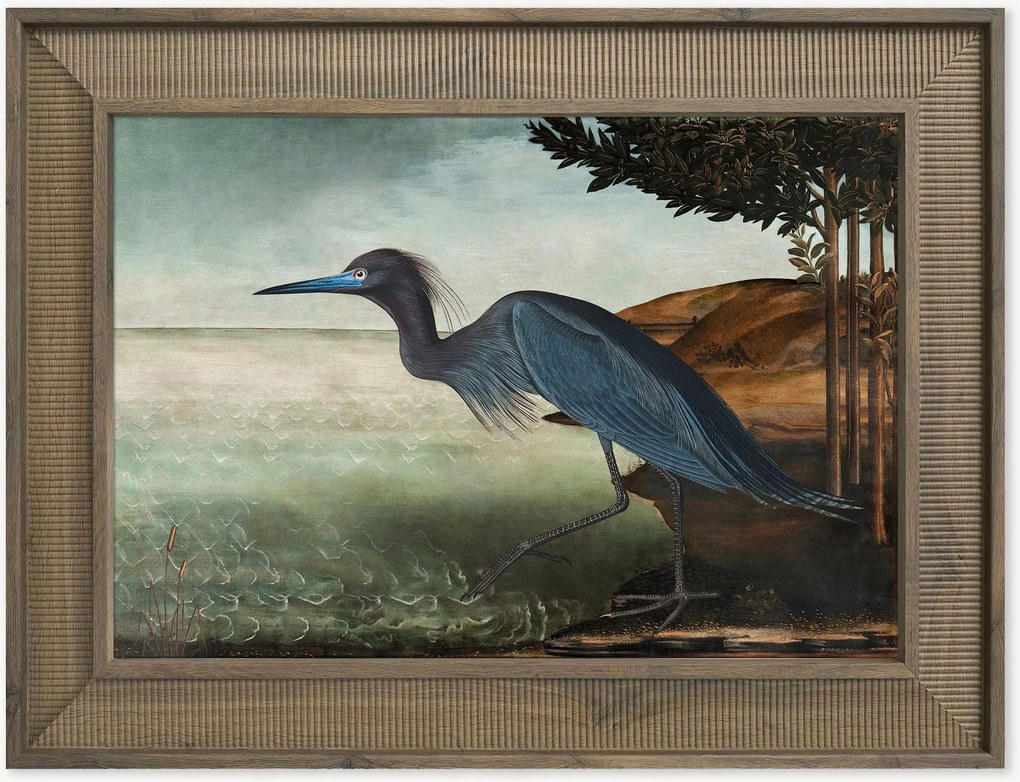 Zarámovaný digitální tisk Whispering Bird