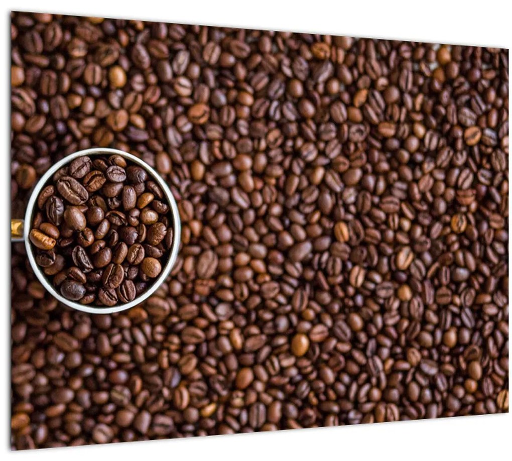 Skleněný obraz - kávové zrna (70x50 cm)
