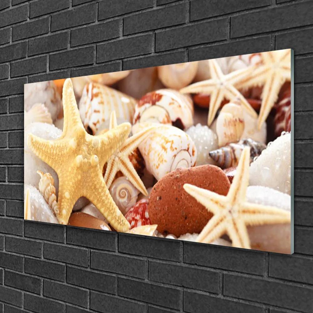 Obraz na skle Hvězdice Mušle Pláž 100x50 cm