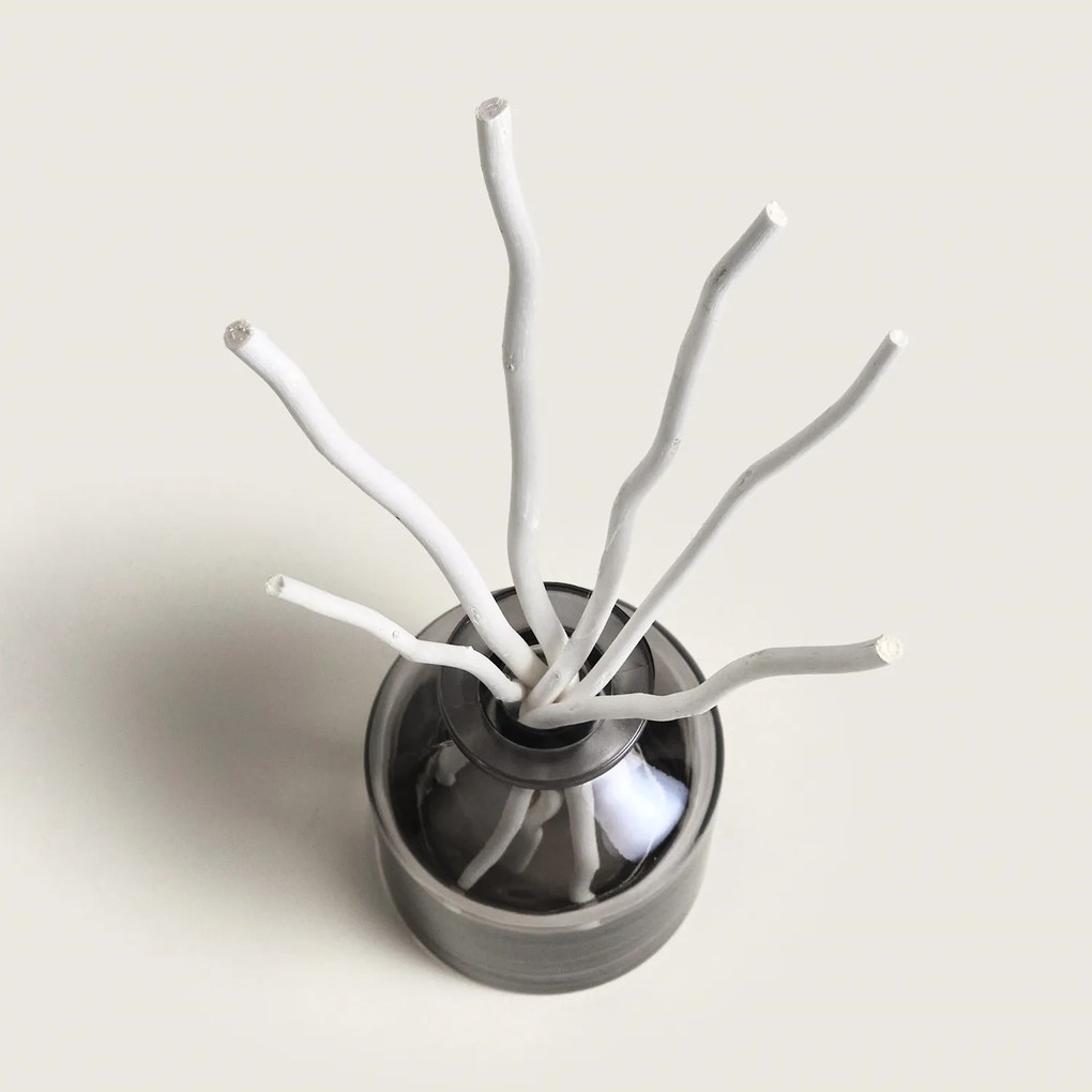 Maison Berger Paris Aroma Happy difuzér Aquatic Freshness, 180 ml