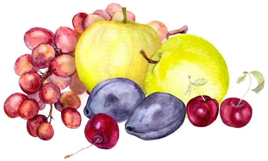 Obraz Letní Ovoce Malované Akvarelem Nedostatek Nedostatek Přírodní plátno 90x60