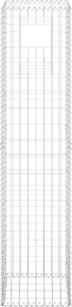 Gabionové sloupky 2 ks 40 x 40 x 180 cm železo 151265