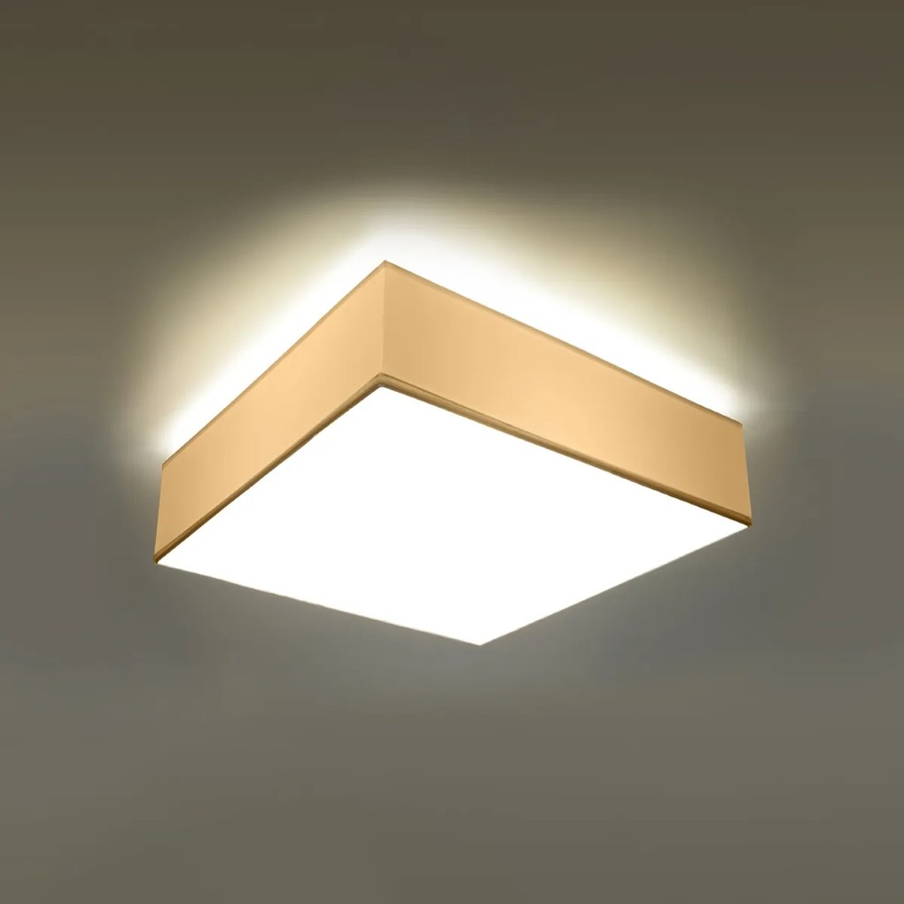 Sollux Lighting Stropní svítidlo HORUS 45 bílé