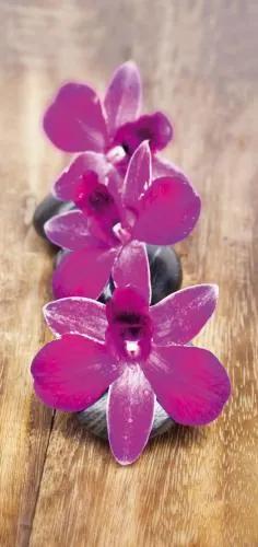 Fialové orchideje - 50 x 20 cm