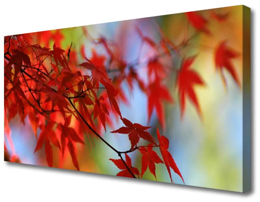 Obraz na plátně Listy Příroda 120x60 cm