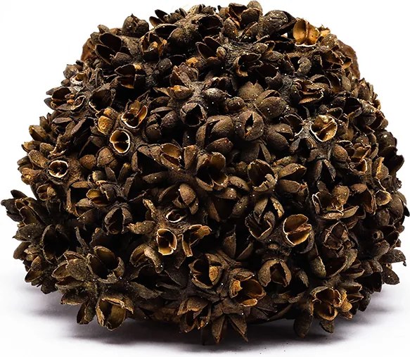 Dřevěný dekorace ježek z přírodní šišky 11 × 8,5 cm