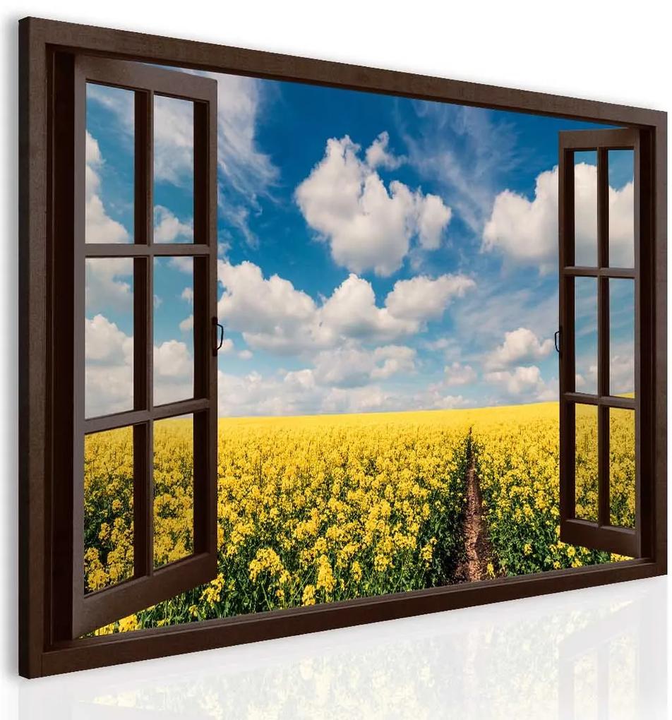 3D obraz jarní okno Velikost (šířka x výška): 60x40 cm
