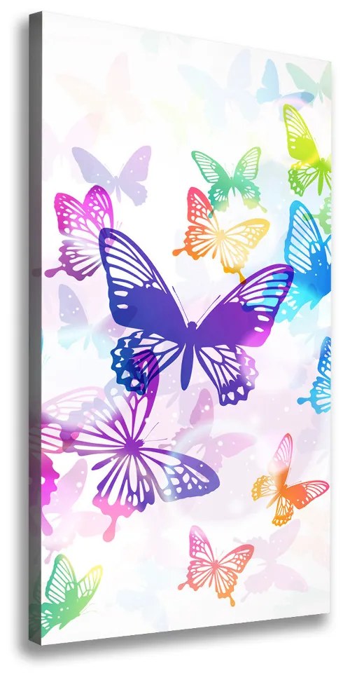 Wallmuralia Vertikální Foto obraz na plátně Barevní motýli 50x100