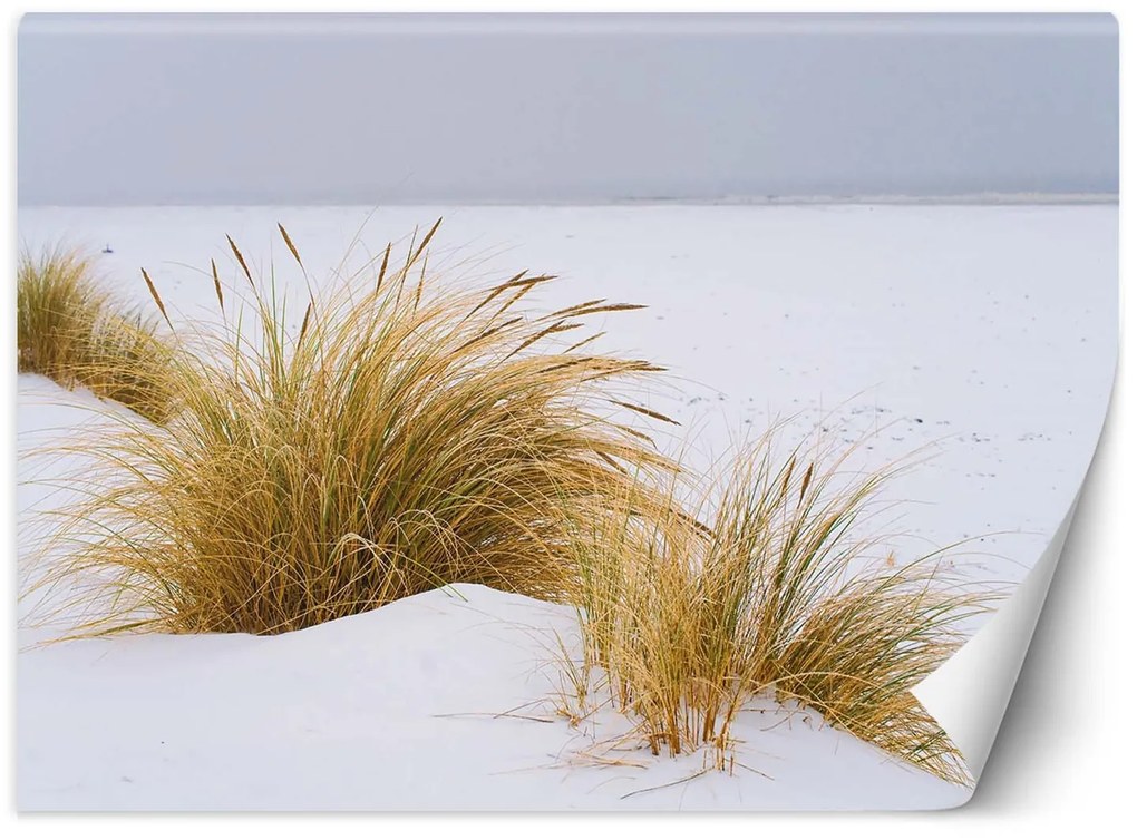 Gario Fototapeta Duny na zlatém písku Materiál: Vliesová, Rozměry: 200 x 140 cm