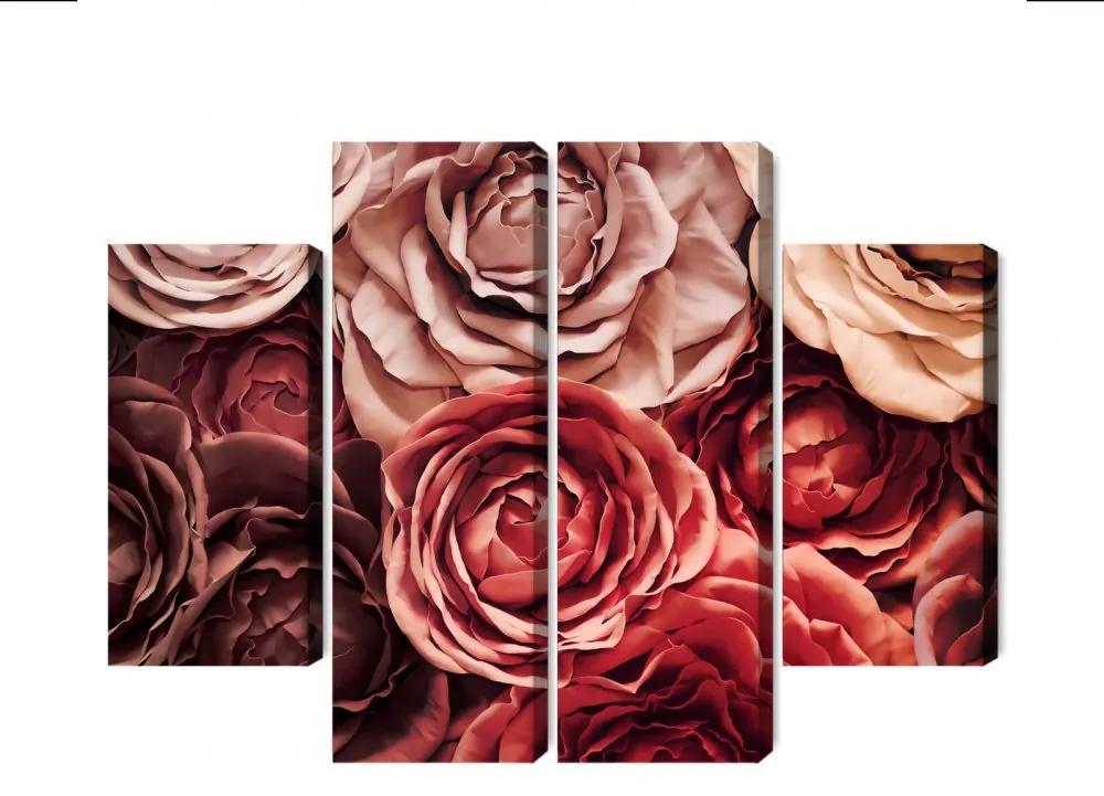 Vícedílný obraz Barevné Květiny Zblízka 3D Nedostatek Nedostatek Plátno Canvas 160x120