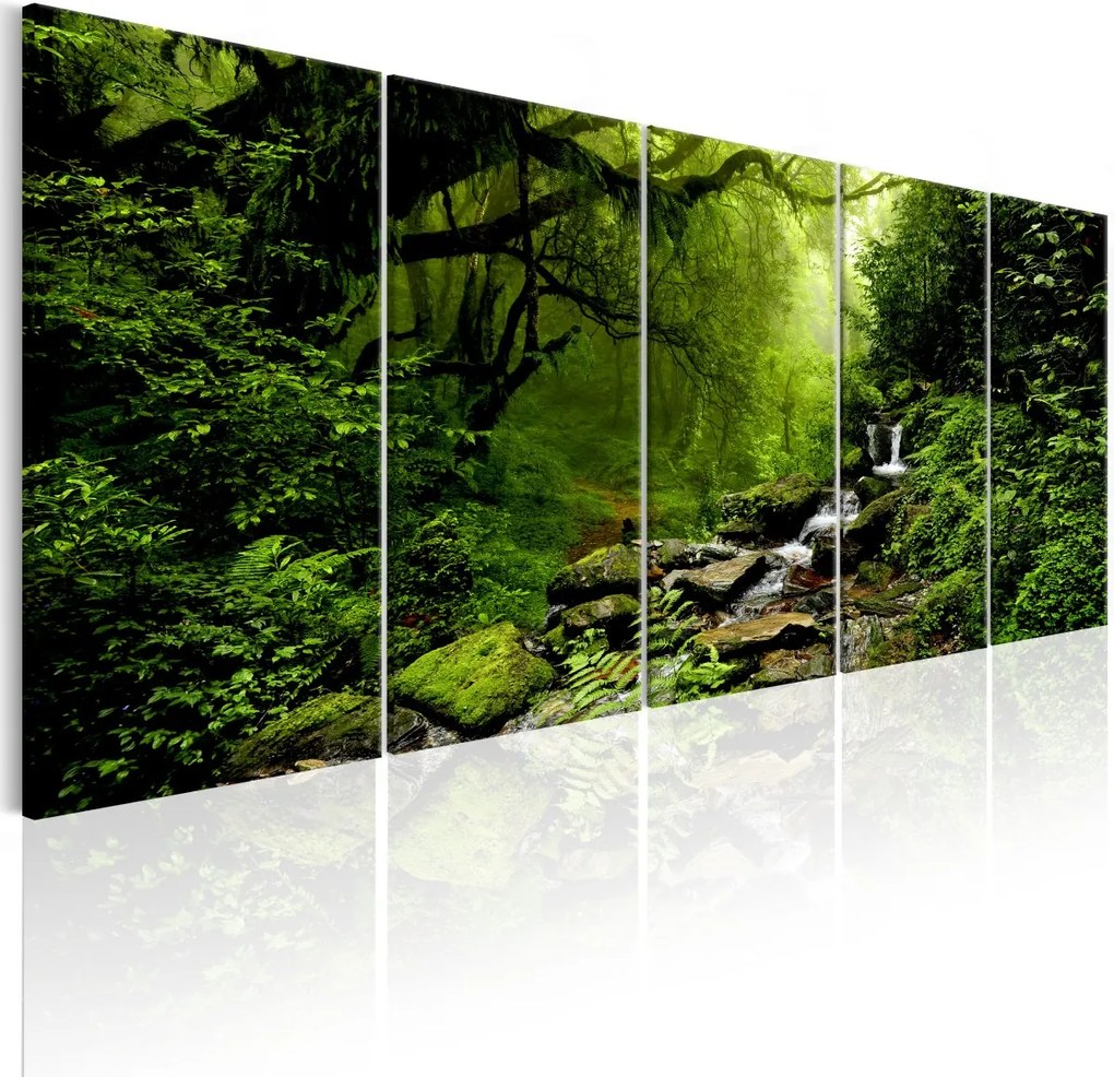 Murando DeLuxe Pětidílný obraz - lesní říčka Velikost: 225x90 cm