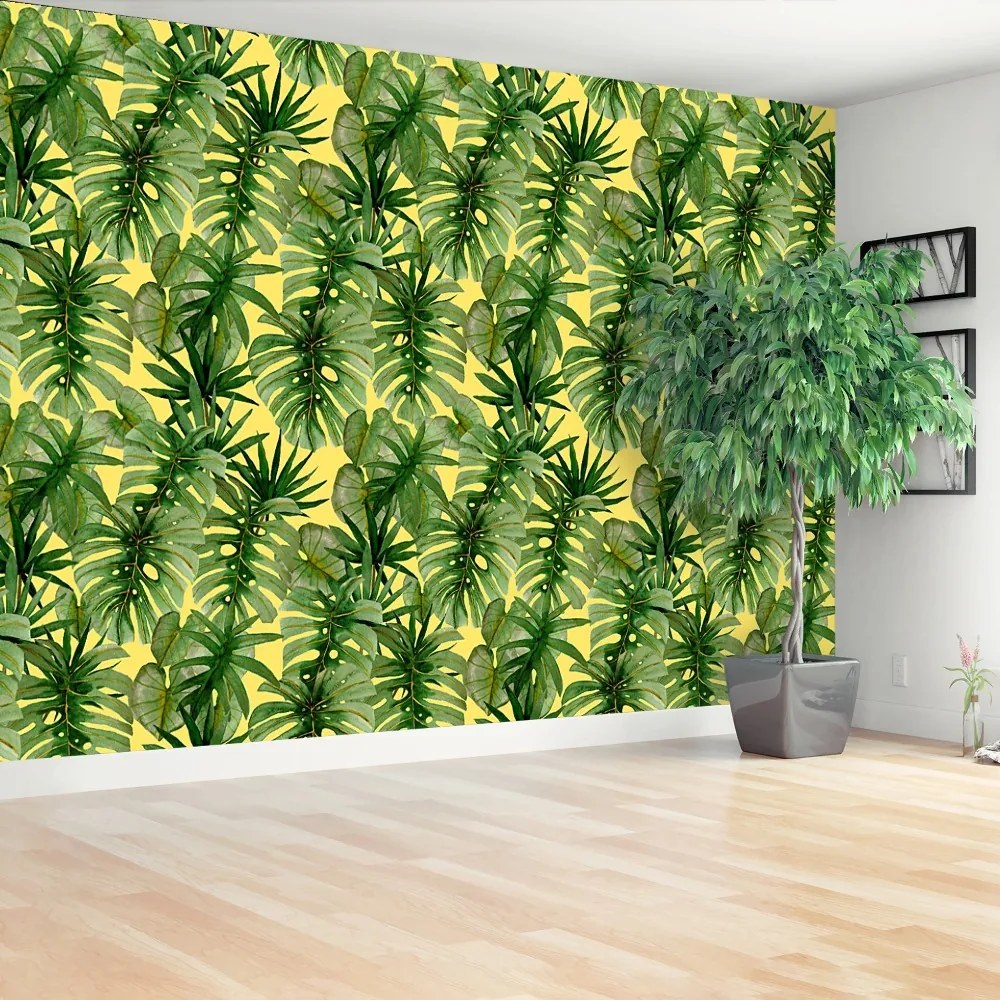 Fototapeta palma monstera 104x70