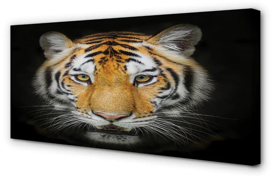 Obrazy na plátně Tygr 140x70 cm