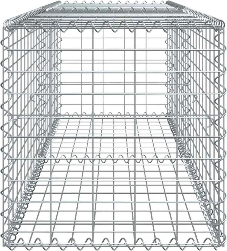 Gabionový koš s víkem 200 x 50 x 50 cm pozinkované železo 3295133