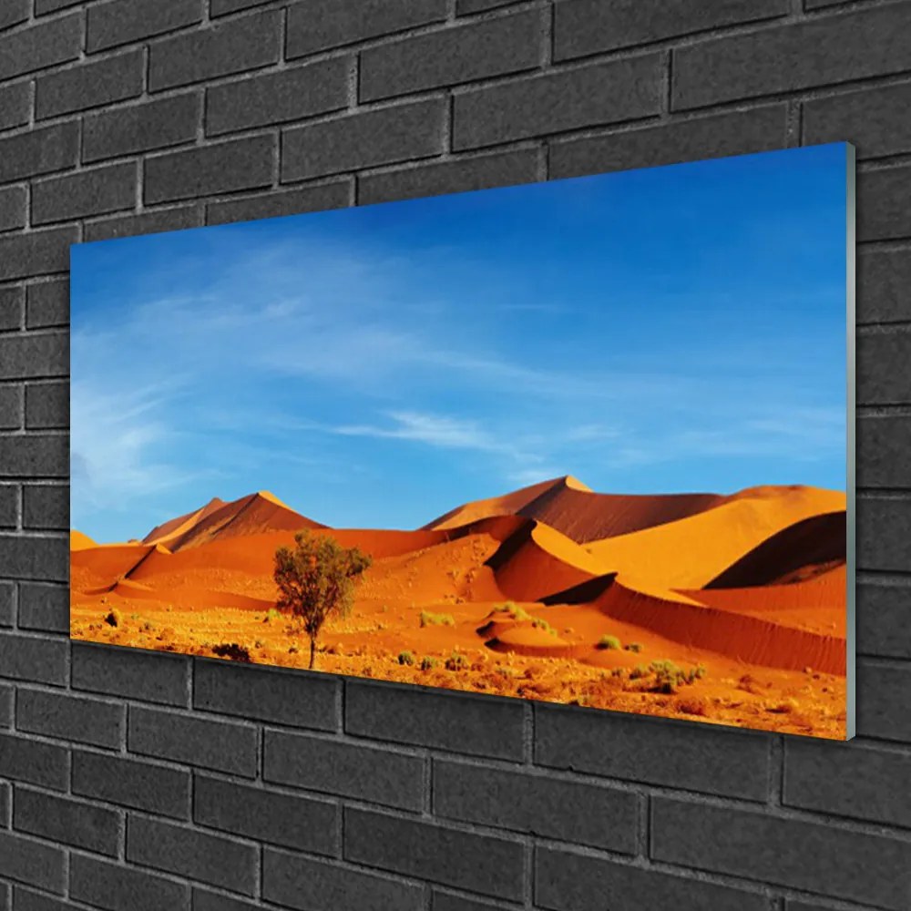 Obraz na skle Poušť Krajina 140x70 cm