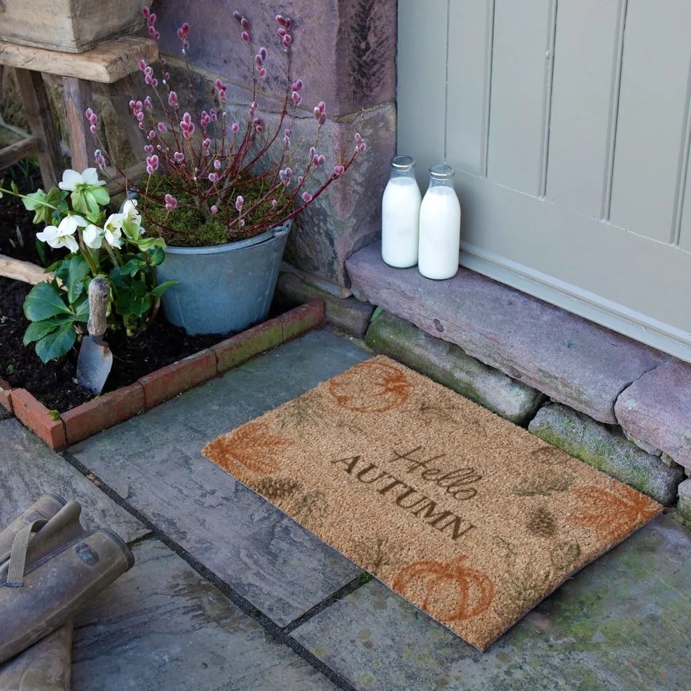 Rohožka z kokosového vlákna 40x60 cm Hello Autumn – Artsy Doormats