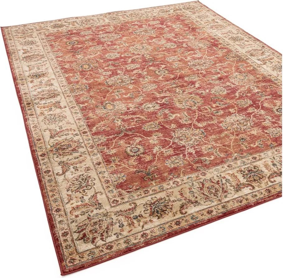 Červený koberec 160x220 cm Raja – Asiatic Carpets