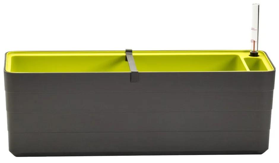 Antracitovo-zelený samozavlažovací truhlík Plastia Berberis , délka 59 cm
