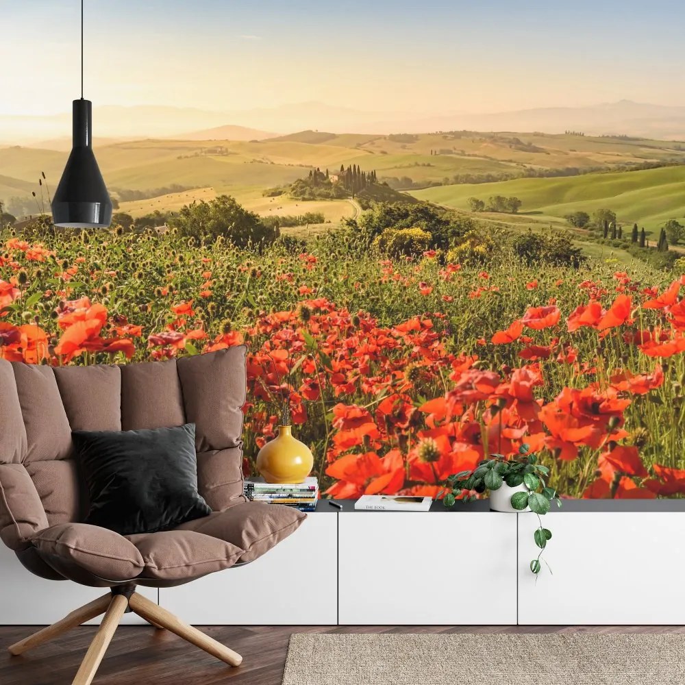 Fototapeta Poppy Field Strukturální vinyl 520x318