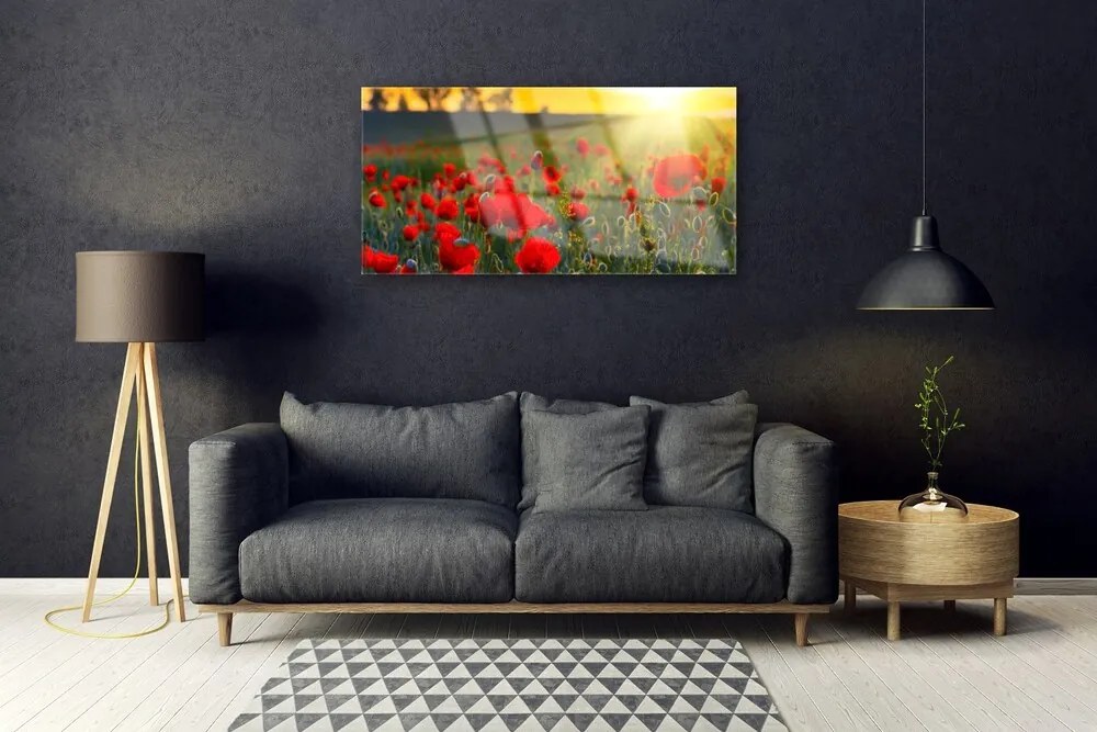 Obraz na skle Louka Máky Rostlina Příroda 120x60 cm