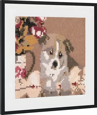 GRAFIX Diamantové malování Roztomilé štěně / 20x20 cm