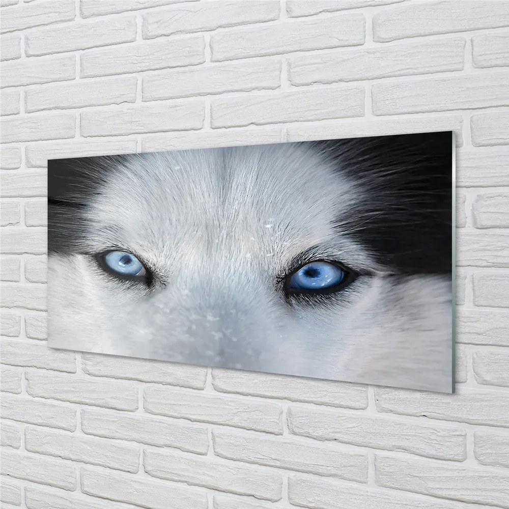 akrylový obraz wolf Eyes 140x70 cm