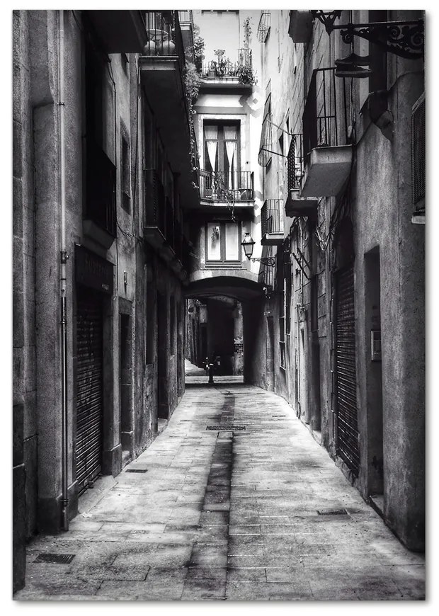 Wallmuralia Foto obraz akrylový Barcelona Španělsko 70x100 cm