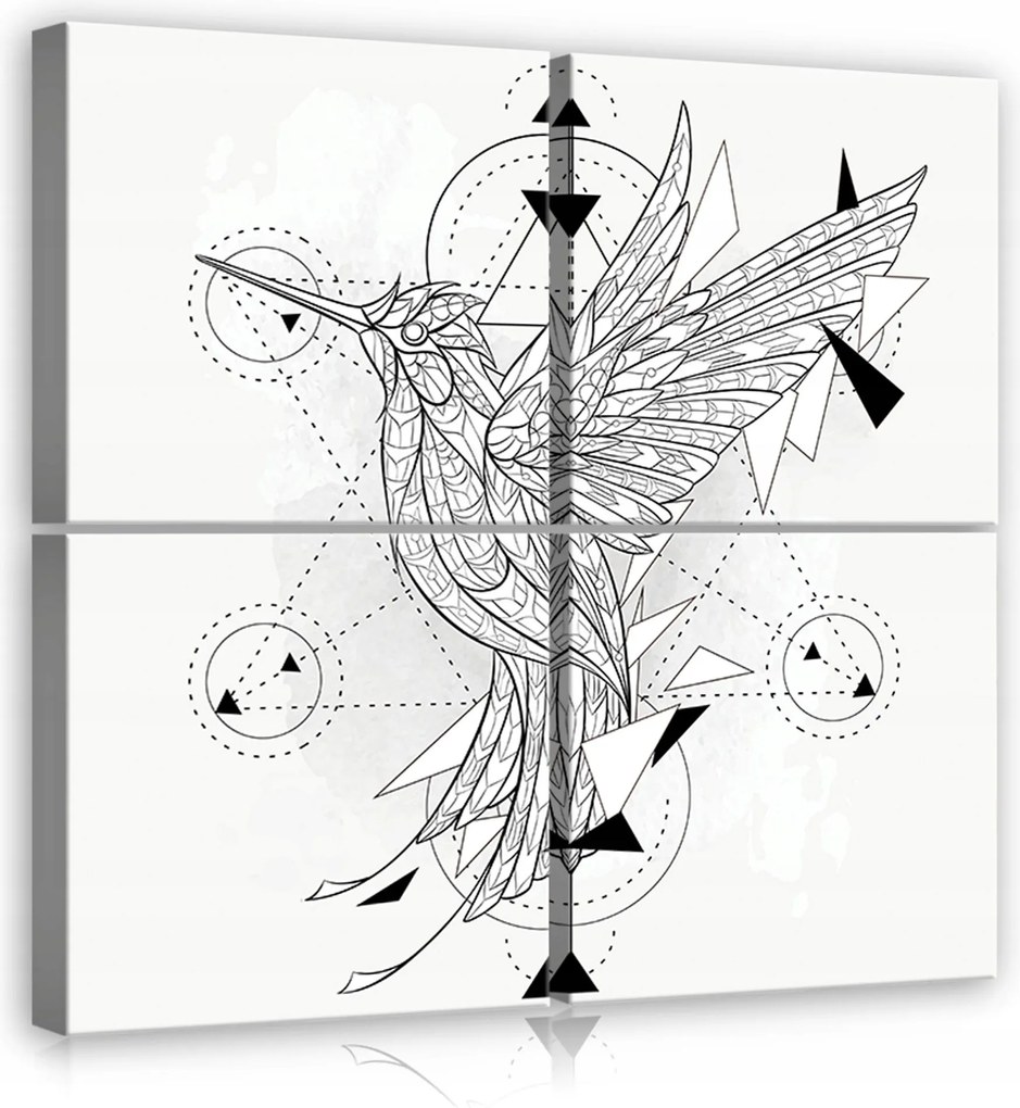 Obraz 50x50 Kolibřík pták grafika geometrie minimalismus moderní abstrakce