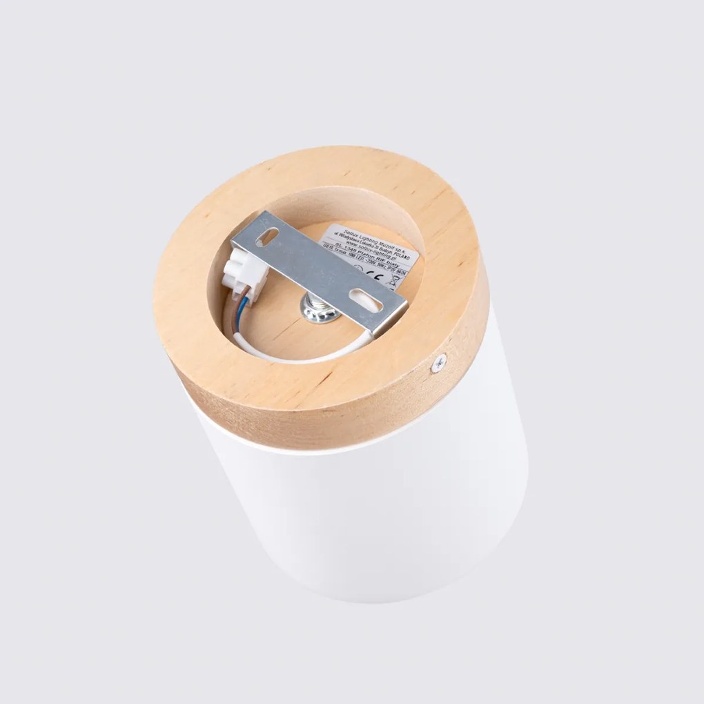 Sollux Lighting Stropní svítidlo RIF bílé
