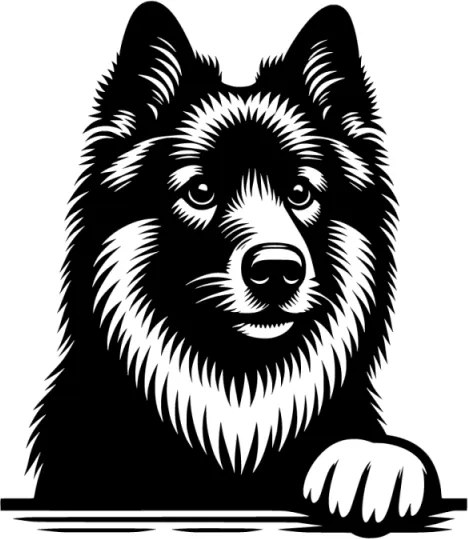 Samolepka pes Norský elkhound
