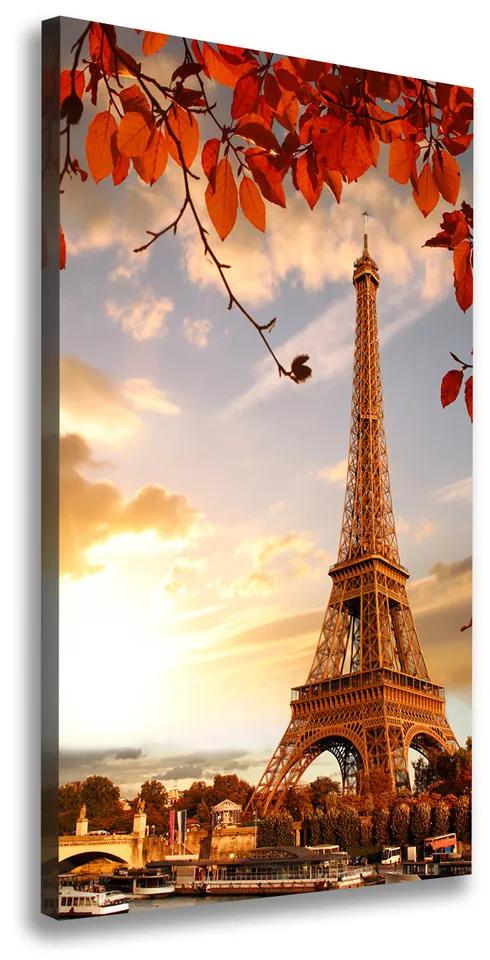 Wallmuralia Foto obraz na plátně Eiffelová věž Paříž 60x120 cm