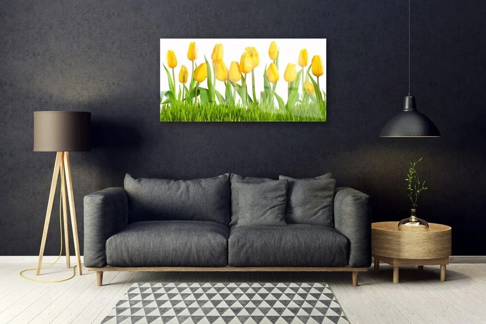 akrylový obraz Tulipány 100x50 cm