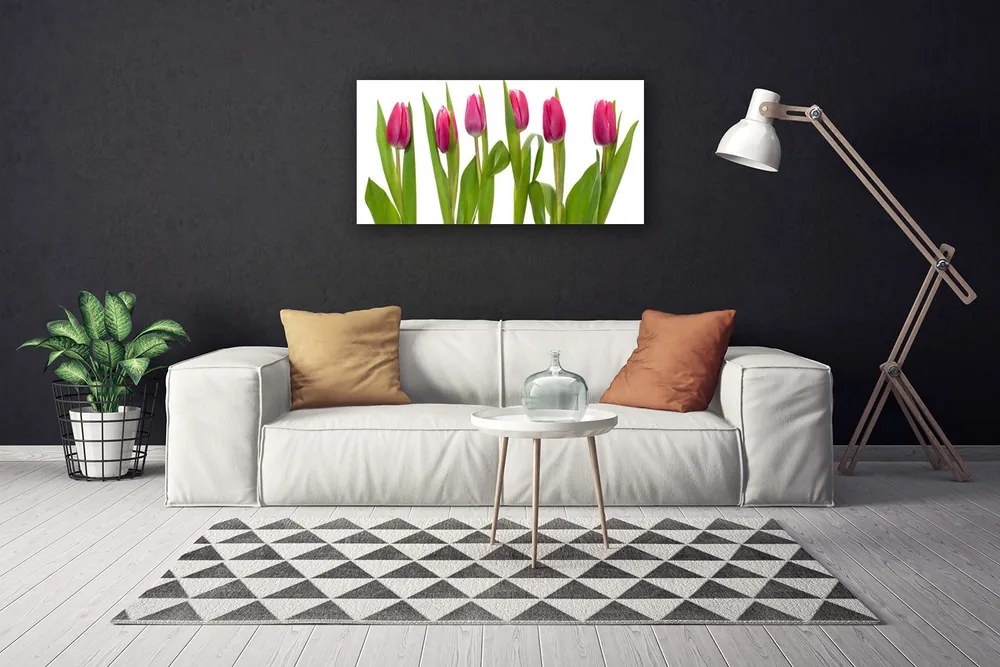 Obraz na plátně Tulipány Květiny Rostlina 100x50 cm