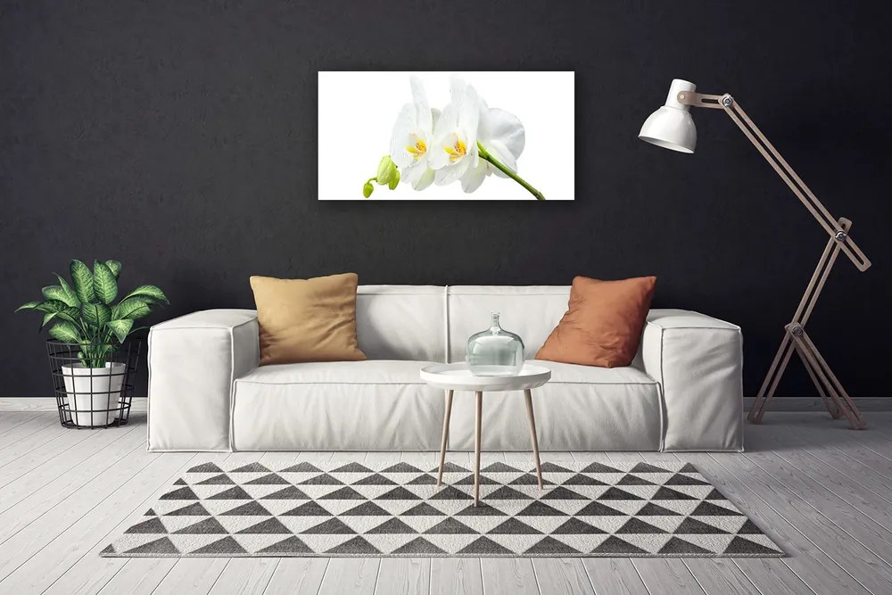 Obraz na plátně Plátky Květ Bíla Orchidej 125x50 cm