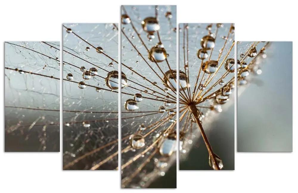 Gario Obraz na plátně Kapky rosy a pavučina - 5 dílný Rozměry: 100 x 70 cm