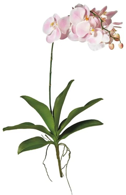 ADRIANI E ROSSI - Umělá květina BIG ORCHID