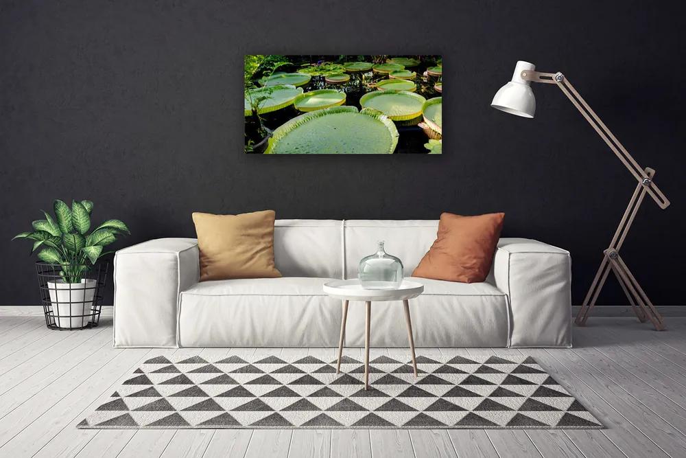 Obraz na plátně Listy Jezero Příroda 125x50 cm