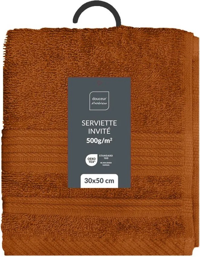 Froté bavlněný ručník v terakotové barvě 30x50 cm Tendresse – douceur d'intérieur