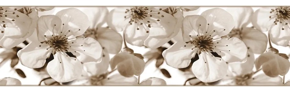 AG Art Samolepicí bordura Jabloňový květ, 500 x 14 cm