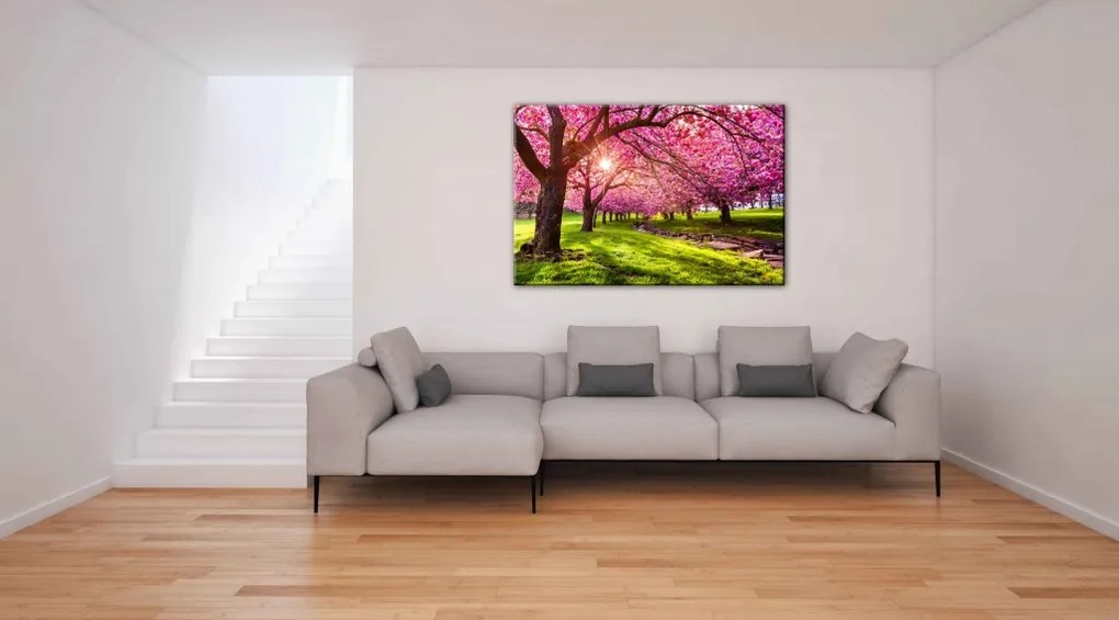 Obraz sakurová alej Velikost (šířka x výška): 120x80 cm