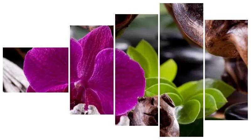 Obraz fialového květu ve větvích (110x60 cm), 40 dalších rozměrů