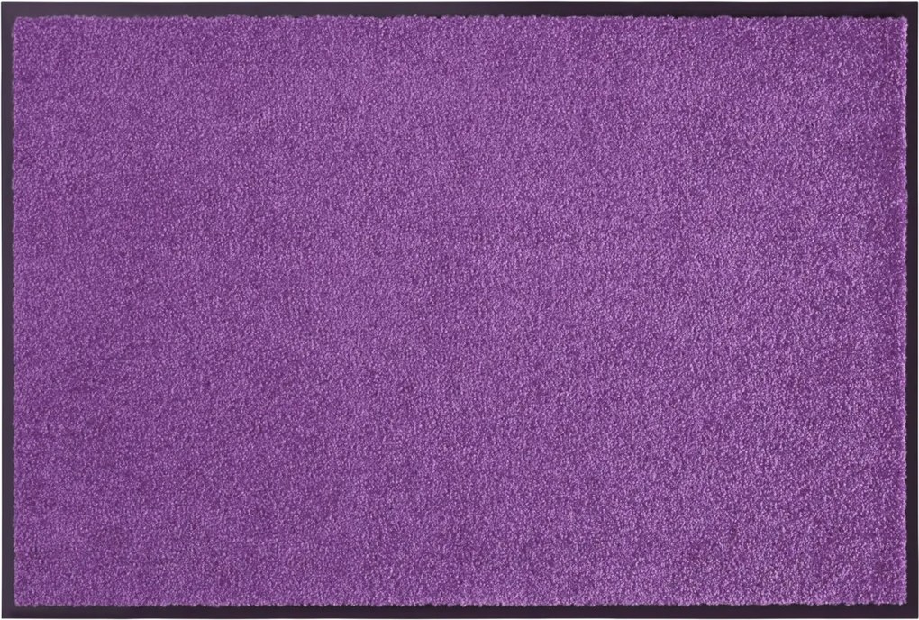 60x90 Rohožka Wash & Clean 103838 Violett