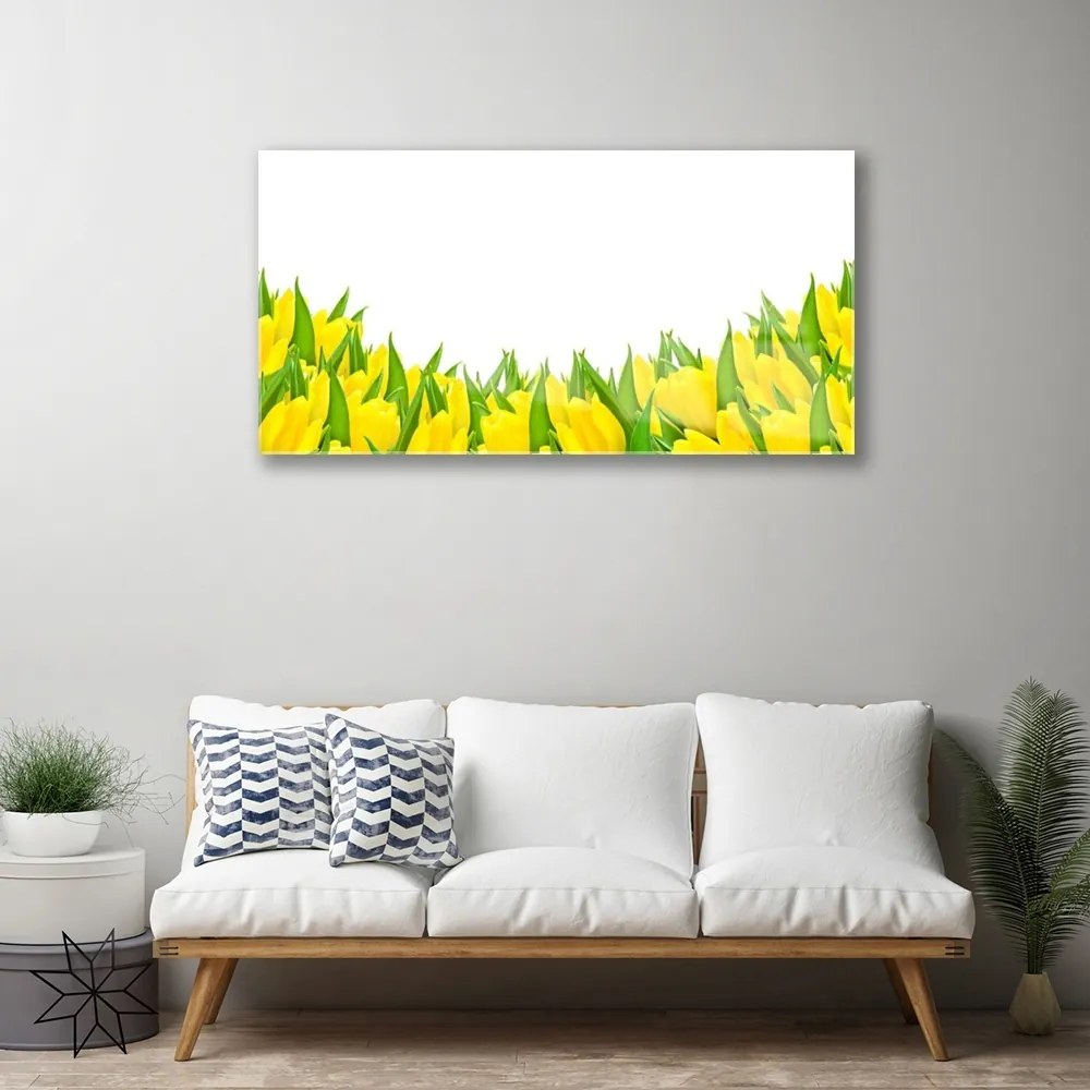 Obraz na skle Květiny Příroda Tulipány 120x60 cm