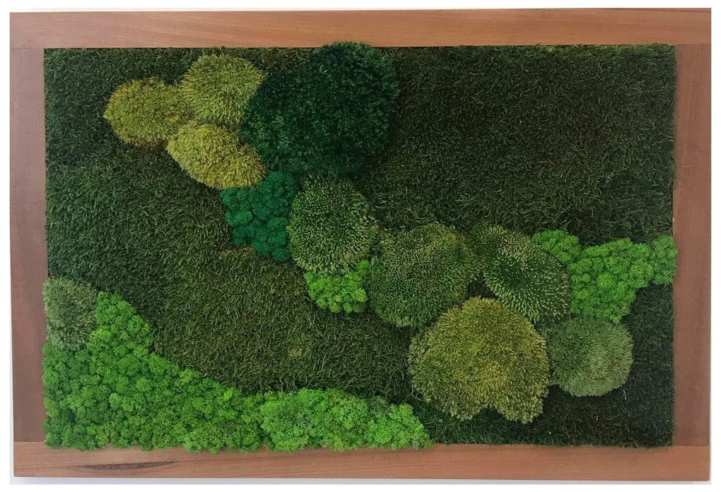 Mechový obraz|kombinace mechů Rozměr obrazu: 70x50 cm, Barva rámu: Dub, Síla rámu (pohledová): 3,7 cm