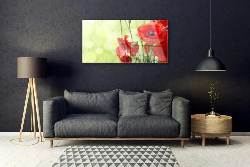 Obraz na skle Máky Květiny Příroda 125x50 cm
