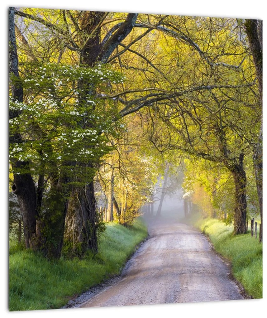 Obraz - Smoky Mountains, Gatlinburg, USA (30x30 cm)