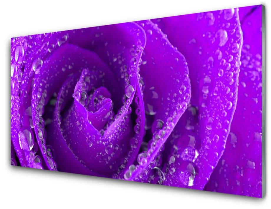 Obraz na skle Růže Květ 100x50 cm