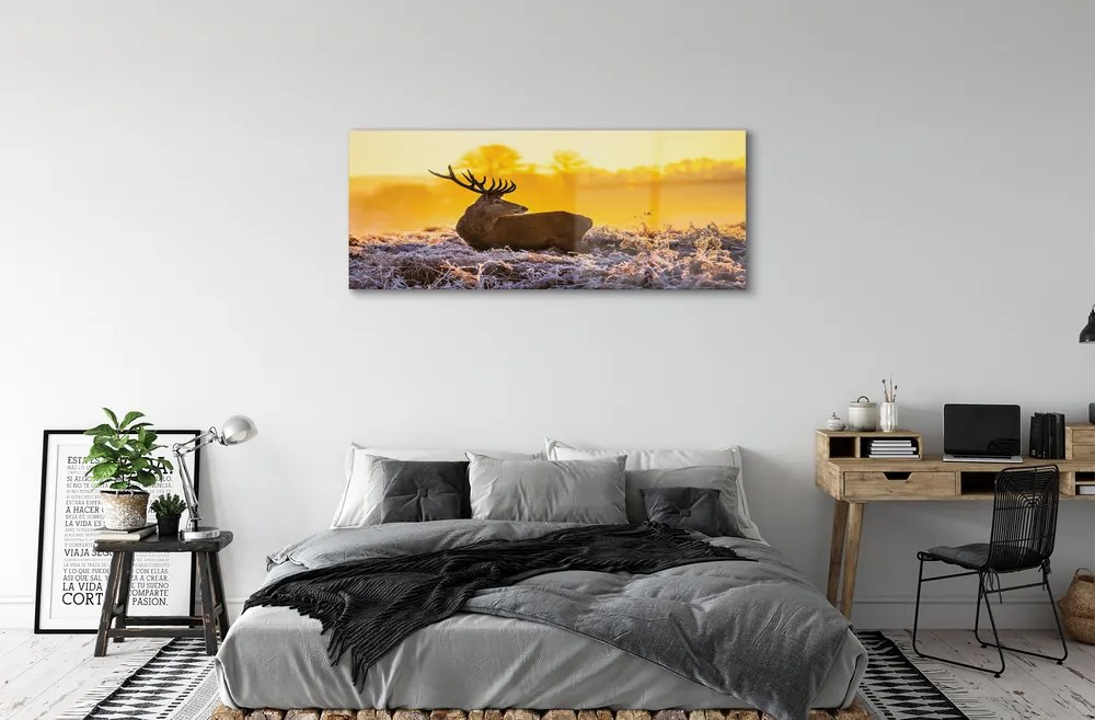 akrylový obraz Jelen zimní slunce 120x60 cm
