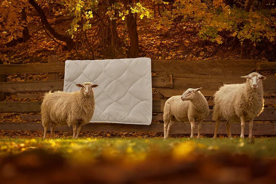 Vlněná přikrývka Komfort Wool Rozměr: 140x200 cm