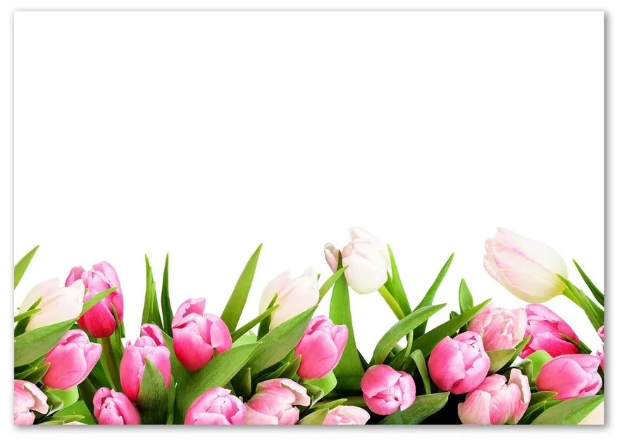 Wallmuralia Moderní akrylový fotoobraz Růžové tulipány 100x70